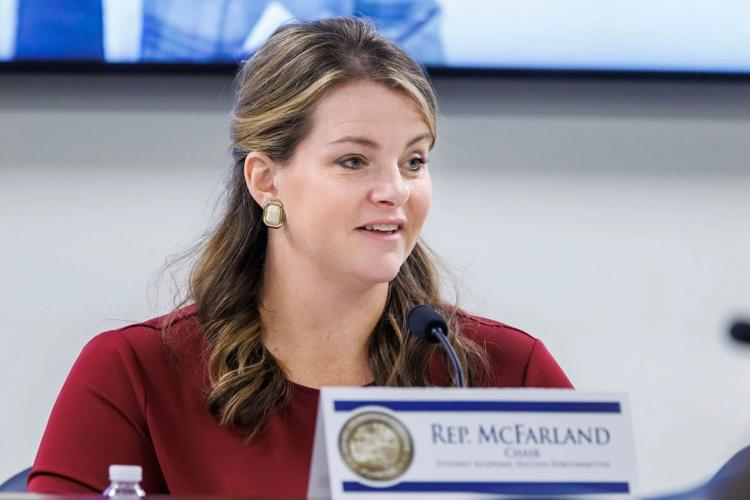 Lawmakers eye changes after 2024 hurricanes | Port Charlotte News ...