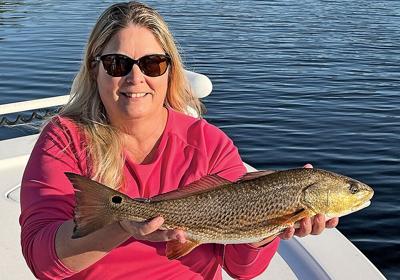 All they want is a little shade | Waterline | yoursun.com