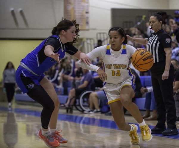 GIRLS BASKETBALL: Charlotte cruises to fourth straight district title ...