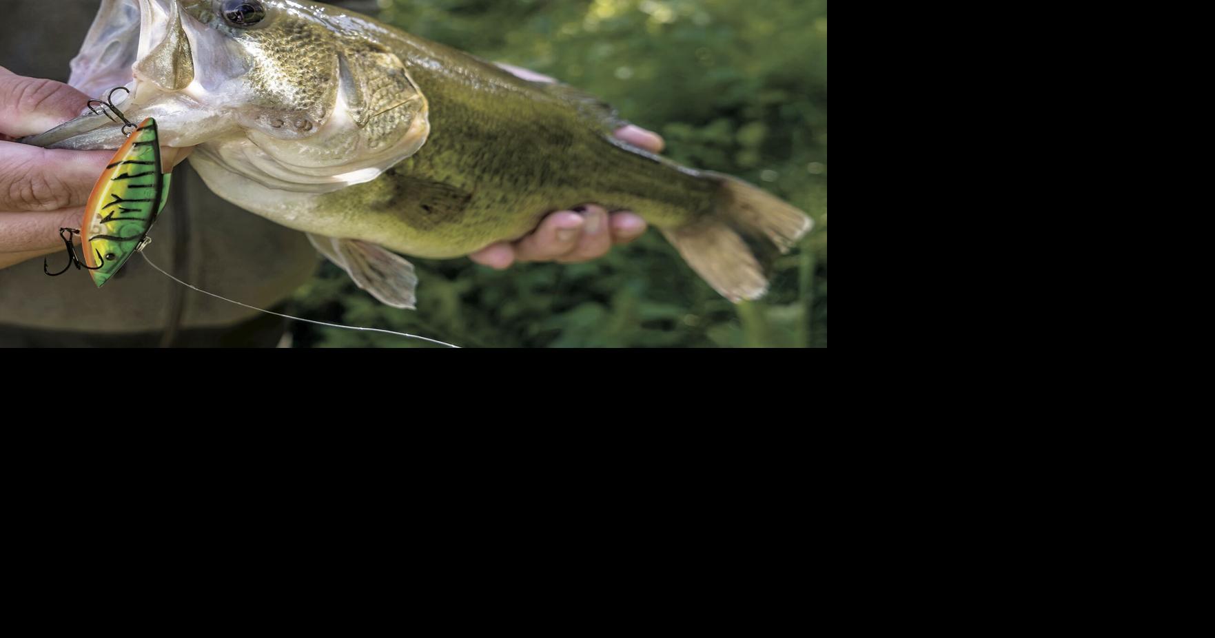 Experimenting with sound | Waterline | yoursun.com