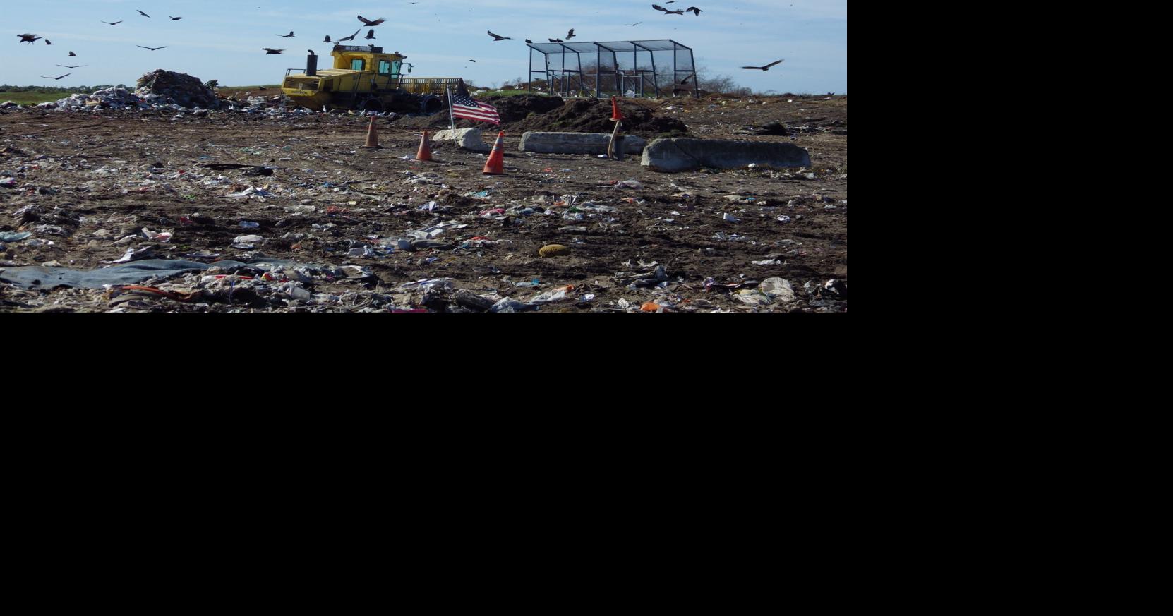 Humans are No. 1 at two things: Garbage and No. 2 | News | yoursun.com