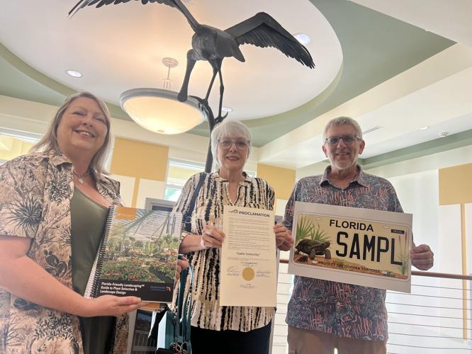 New gopher tortoise tags to raise money, awareness for vulnerable ...