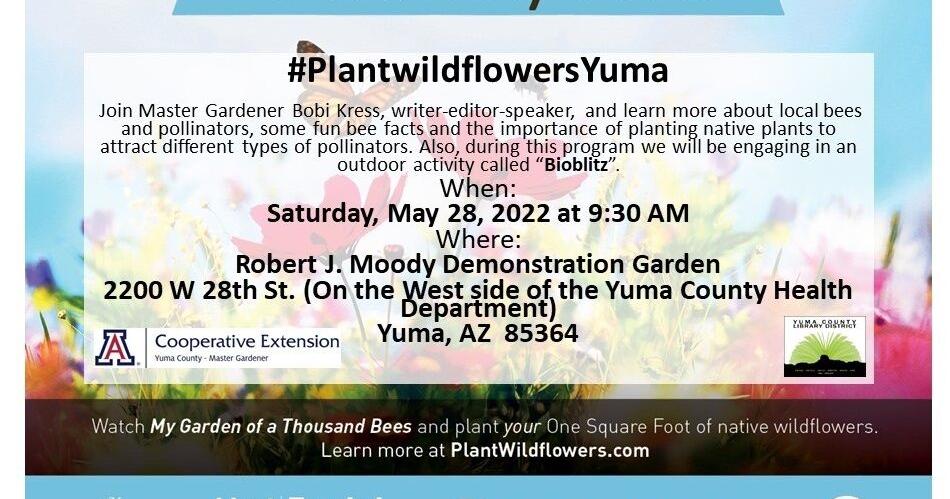 #PlantwildflowersYuma | Calendar | yumasun.com