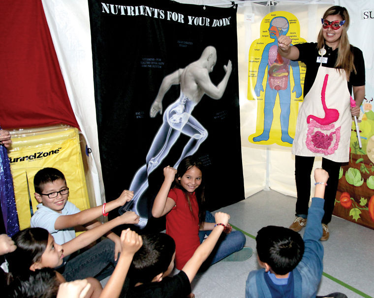 A walk through the body | | yumasun.com