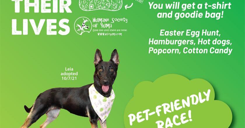 Humane Society of Yuma's 5k run/walk | Calendar | yumasun.com