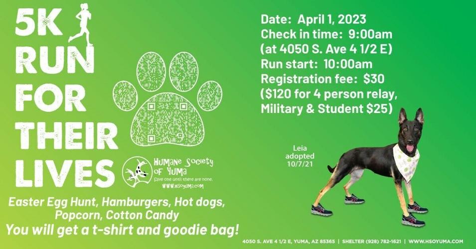 Humane Society of Yuma's 5k run/walk | Calendar | yumasun.com