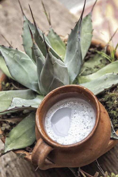 Pulque | | yumasun.com